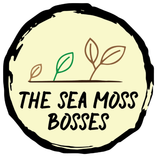 About - The Sea Moss Bosses